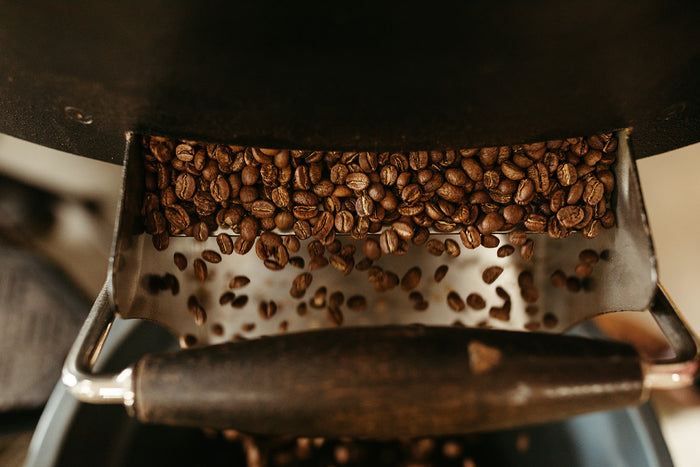 Wholesale – Novel Coffee Roasters