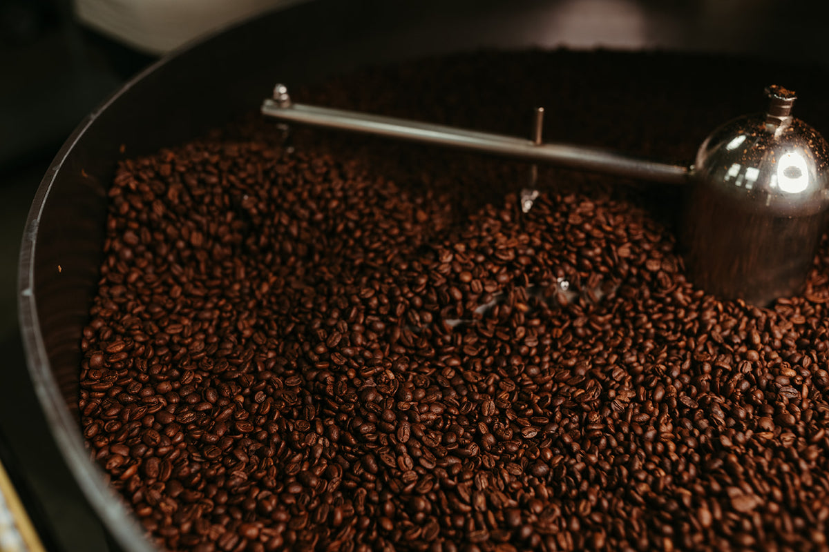 Novel Coffee Roasters